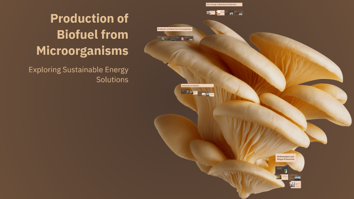 Production of Biofuel from Microorganisms by hussin Alghamdi on Prezi