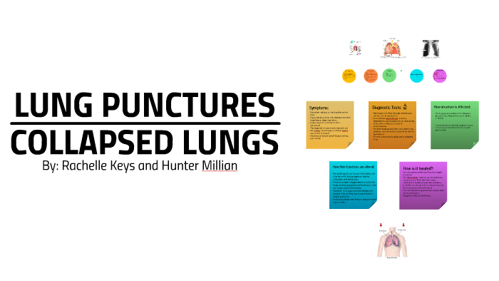 Punctured/Collapsed Lungs by hunter millian on Prezi