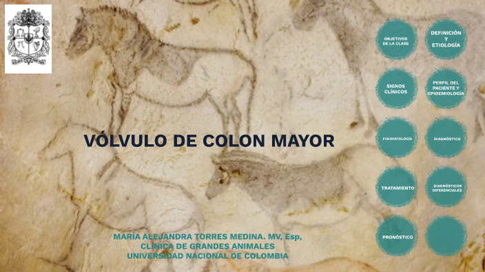 VÓLVULO DE COLON MAYOR by María Alejandra Torres Medina on Prezi