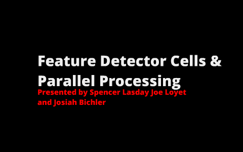 Feature Detector Cells Research & Parallel Processing by Spencer Lasday ...