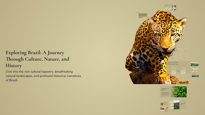 Exploring Brazil: A Journey Through Culture, Nature, and History by ...