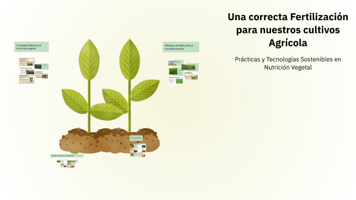 Una correcta Fertilización para nuestros cultivos Agrícola by Steven ...