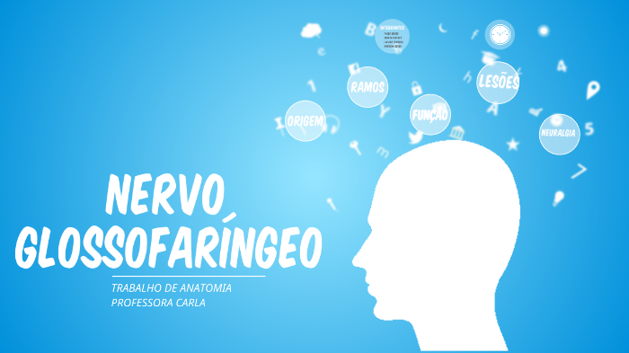 ANATOMIA NERVO GLOSSOFARÍNGEO by paulo silva on Prezi