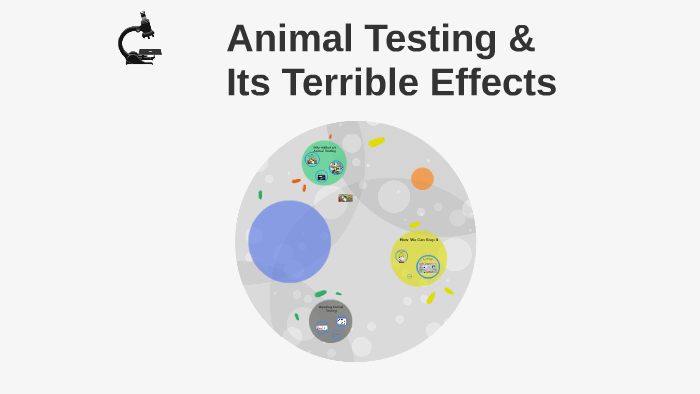 Animal Testing & its Terrible Effects by lilly herron