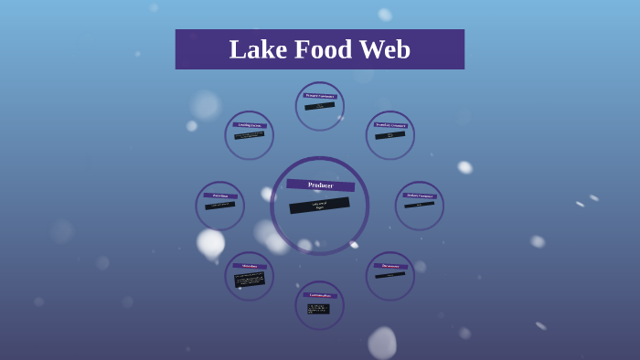 Lake Food Web by Titus Fuller on Prezi