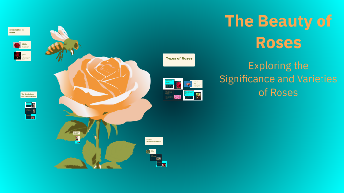 The Beauty of Roses by LIANE JOY CORPUZ on Prezi