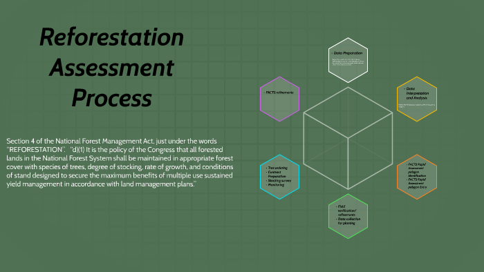 Reforestation Data Cycle by heather weldon on Prezi