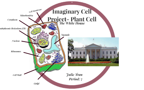 Imaginary Cell Project by Julie Tran on Prezi