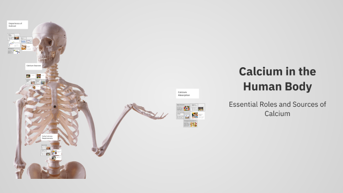 Calcium in the Human Body by Маргрета Велчева on Prezi