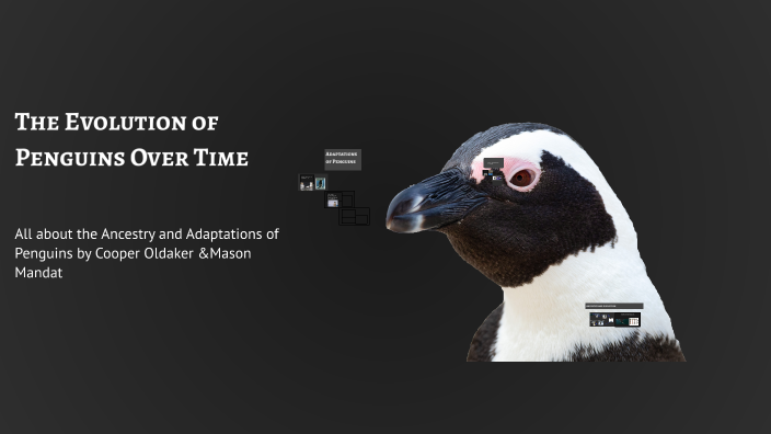 Penguin Evolution: A Journey Through Time by Student Mason Mandat on Prezi