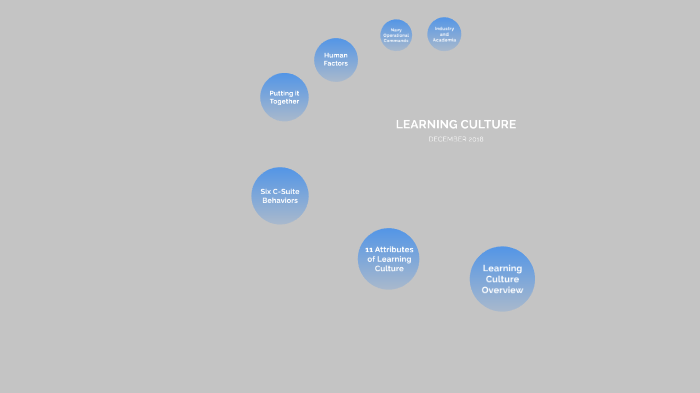 Learning Culture Executive Brief by Michael Noce on Prezi