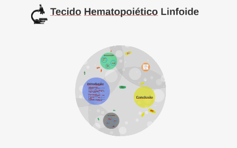 Tecido Hematopoiético Linfoide by Helena Pacheco on Prezi