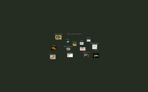 Barracuda food chain by rafael santos on Prezi