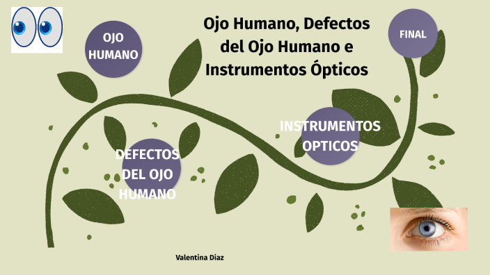 Ojo Humano, Defectos del Ojo Humano e Instrumentos Ópticos by Valentina ...