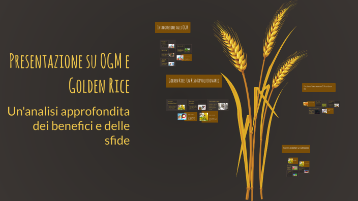 Presentazione su OGM e Golden Rice by Alberto Stucchi on Prezi