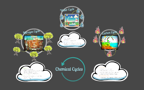 Nitrogen Cycle by Natalie Catalan on Prezi