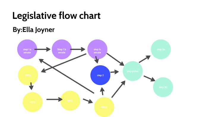 Legislative flow chart by ella joyner on Prezi