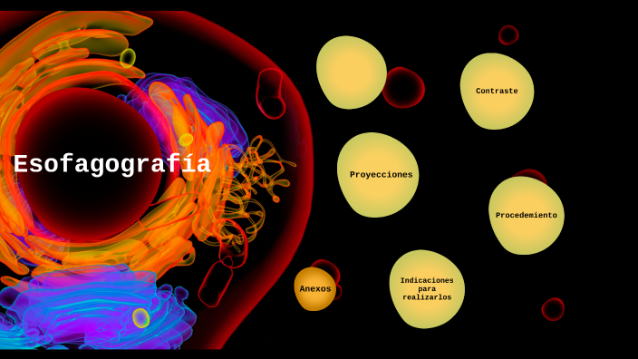 Esofagografia by Valeria Gomez Avila on Prezi