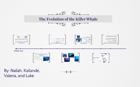 The Evolution of the Killer Whale by Nailah C. on Prezi