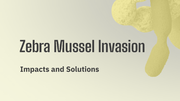 Zebra Mussel Invasion by Frank Serignee on Prezi