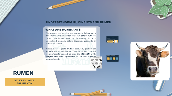 RUMEN by Karl Louie Sarmiento on Prezi