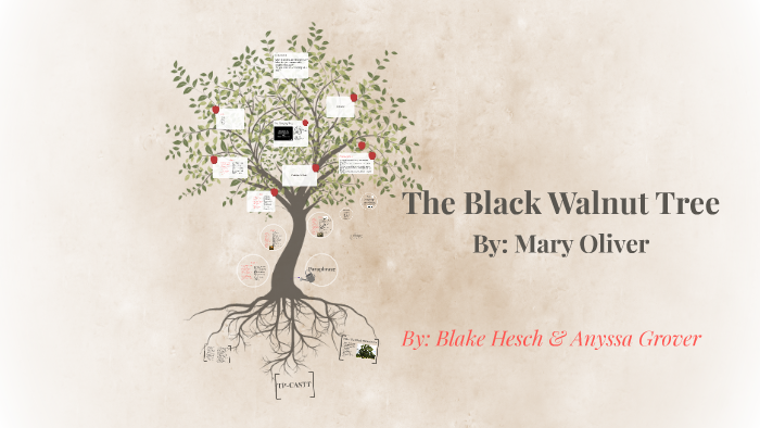 The Black Walnut Tree by Anyssa Grover on Prezi