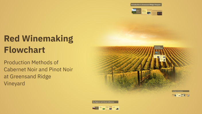 Red Winemaking Flowchart by Morgan Schille on Prezi