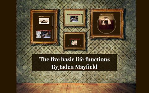 The five basic life functions by REBECCA BAGGETT