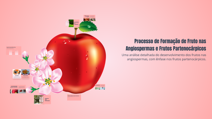Processo de Formação de Fruto nas Angiospermas e Frutos Partenocárpicos ...
