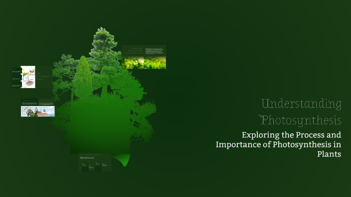 Understanding Photosynthesis by SAHAR MEMON on Prezi