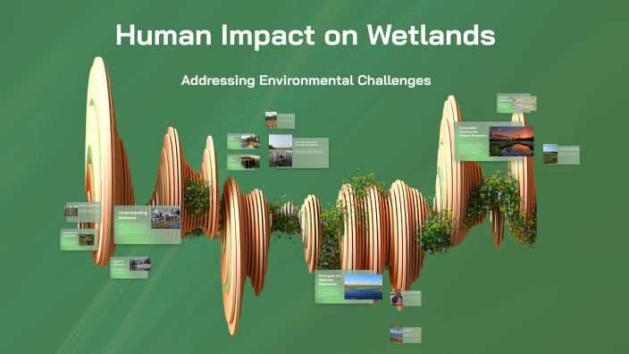 Human Impact on Wetlands by harrison thomson on Prezi