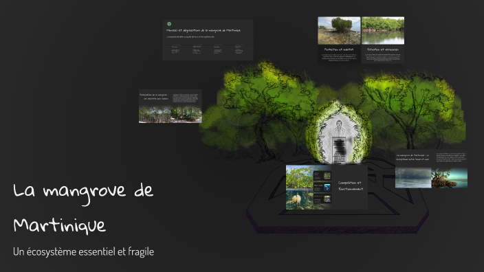 La mangrove de Martinique by Benoît CAYAU on Prezi