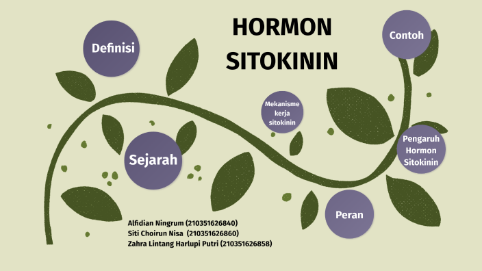 SITOKININ by ALFIDIAN NINGRUM on Prezi