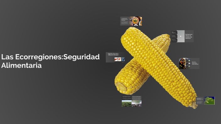 Las Ecorregiones y la Seguridad Alimentaria by Trabajo Archivos on Prezi