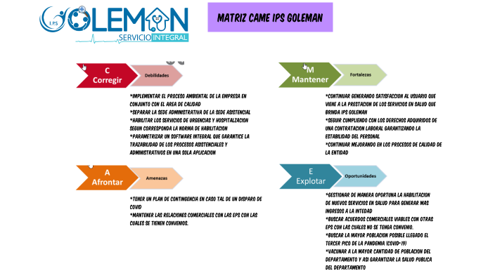 MATRIZ CAME by Andres Guerreo on Prezi