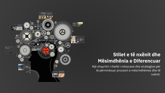Stilet e të nxënit dhe Mësimdhënia e Diferencuar by Burhan Beqiri on Prezi