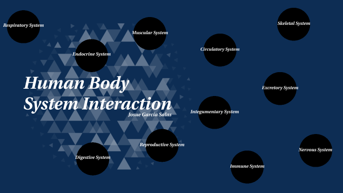 Human Body System Interactions by Josue Garcia salas on Prezi