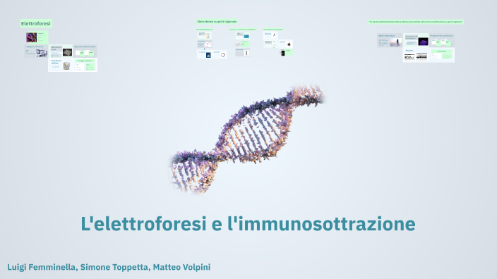 L'elettroforesi e l'immunosottrazione by Matteo Volpini on Prezi