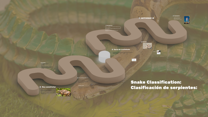 Snake Classification by camiilo paez on Prezi