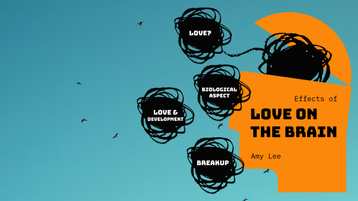 Effects of Love on the Brain by Amy Lee on Prezi