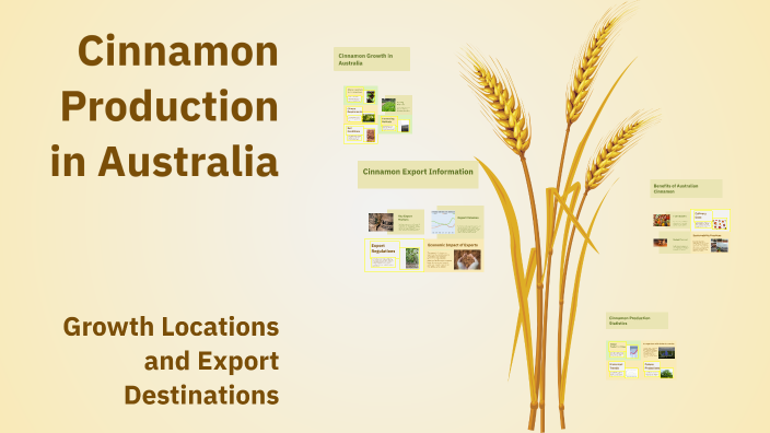 Cinnamon Production in Australia by Tristan Calvert on Prezi