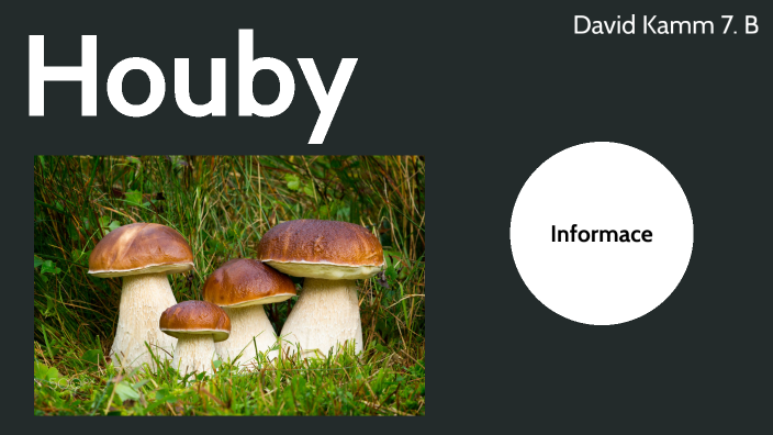 David Kamm houby 7. B by David Kamm on Prezi