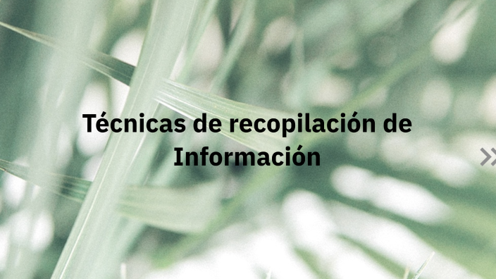 Técnicas de recopilación de Información by Larissa Murillo on Prezi