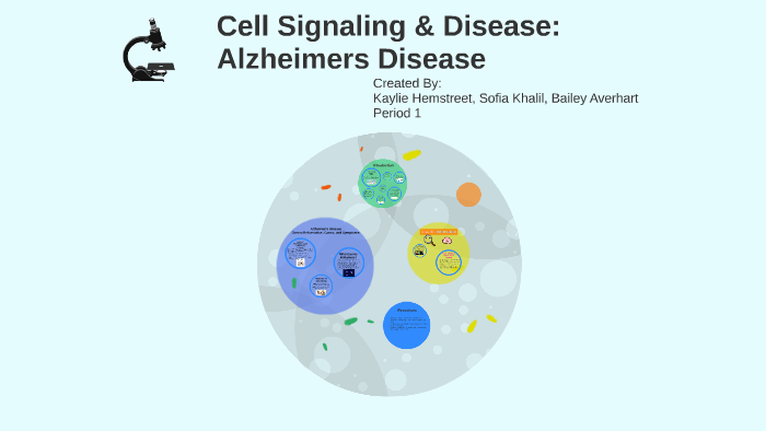 Cell Signaling & Disease: Alzheimers Disease by sofia khalil on Prezi