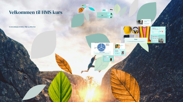 Hva er HMS by Matrix Han-Arsa on Prezi