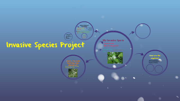 Invasive Species Project by jake green on Prezi