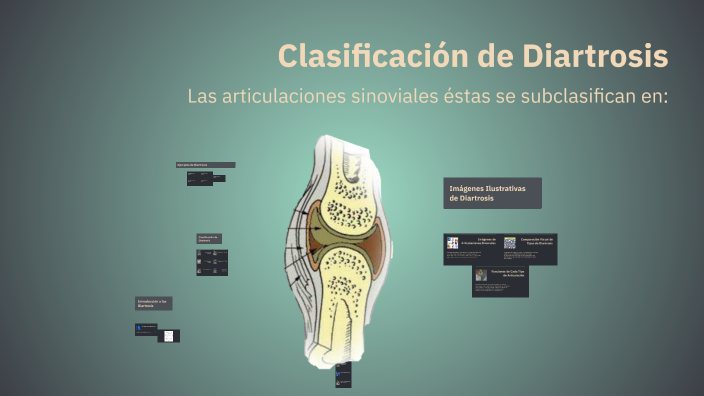 Clasificación de Diartrosis by SOPHIA BAUTISTA RIOS on Prezi