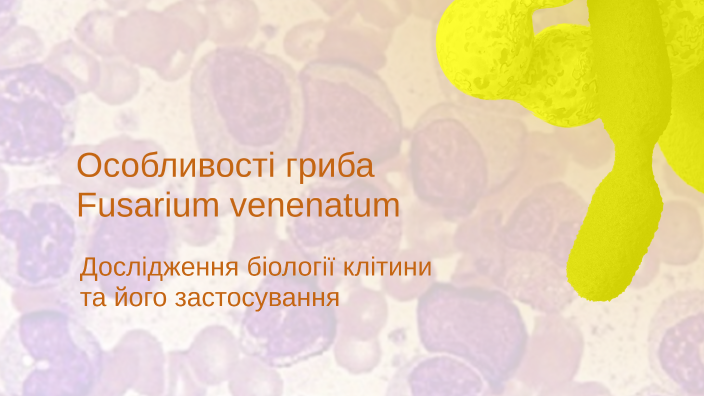 Особливості гриба Fusarium venenatum by Анна Тарасюк on Prezi