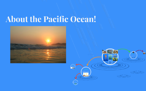 The Pacific Ocean Ecosystem by Elizabeth Ca on Prezi