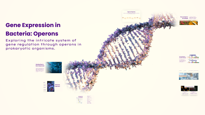 Gene Expression in Bacteria: Operons by R. SARAVANAN on Prezi
